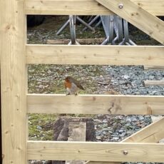 Southwold Railway Trust – England's premier 3-foot gauge railway